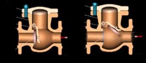 Single Check Valve vs. Double Check Valve | Adamant Valves